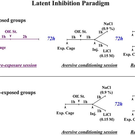 Schematic Representation Of The Paradigm Used To Obtain Latent