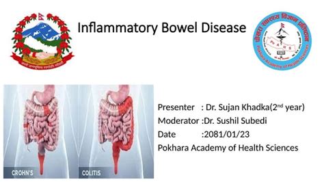 Inflammatory Bowel Disease Pdf Inflammatory Bowel Disease Pdf