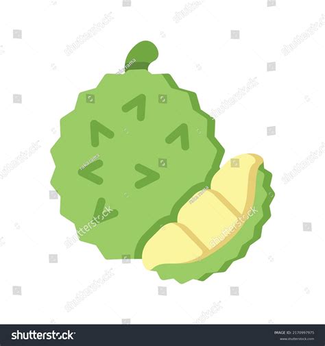 두리안 로고 기호 또는 아이콘 스톡 벡터로열티 프리 2170997975 Shutterstock