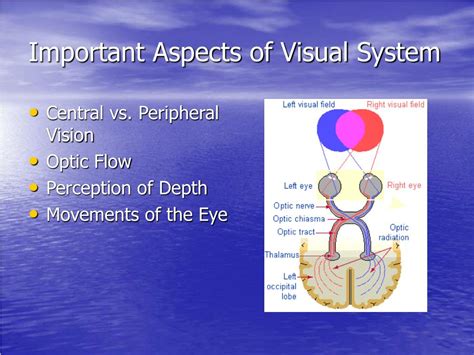 Ppt Simulator Adaptation Syndrome Discussion Powerpoint Presentation Id5742916
