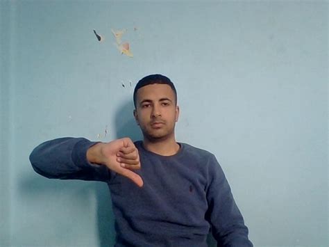 Dislike Object Detection Dataset By Mostafa Hesham