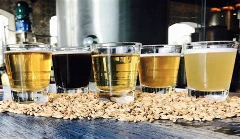 Fresh Juice At Best Price In Gurgaon By After Stories Id