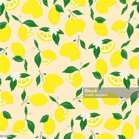 벡터 매끄러운 패턴 레몬과 배경에 슬라이스 레몬 배경 직물 종이 직물 초대장 웹 페이지를위한 여름 레몬 패턴 레모네이드 스탠드에 대한 스톡 벡터 아트 및 기타 이미지