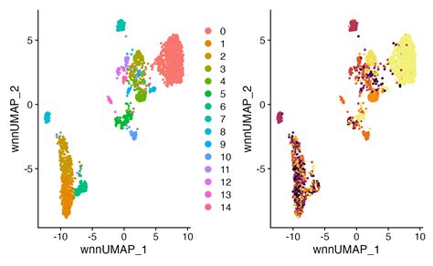Combining Deep Learning And Tcrs With Trex • Screpertoire