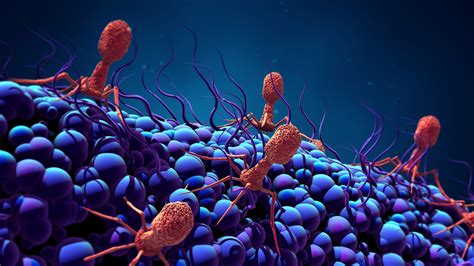 Bacteriophage Wallpaper