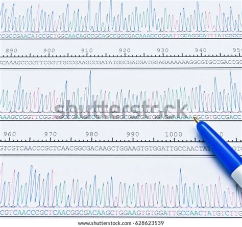 Dna Sequence Analysis By Chromatogram Peaks
