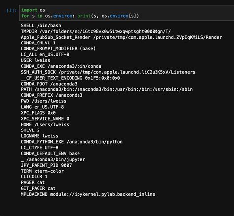 Osenviron Not The Same As When Calling Python From The Terminal · Issue 5729 · Jupyterlab