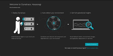 Dynatrace Agent Installation For Monitoring Wso2 Products Hasarangi Galagedara Medium