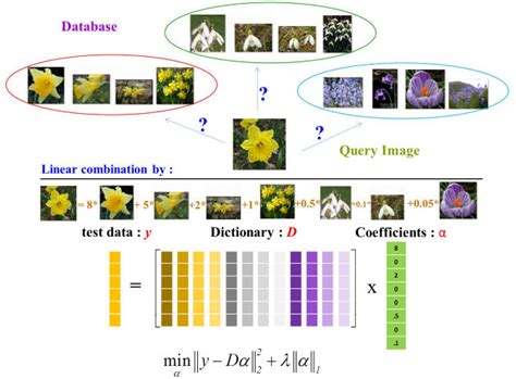 Machine Vision And Learning Lab