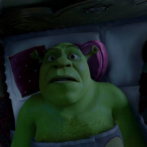 Shrek Is In Bed By Nickson2345 On Deviantart