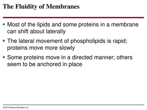 Membrane Transport And Cell Signaling Ppt Download