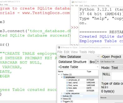 Introduction To Database Testing Testingdocs