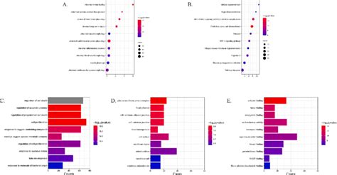 The Top 10 Enriched Analyses For Five Functional Annotations Were