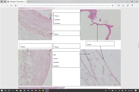 7 Diagram Quizlet 7 Diagram Quizlet