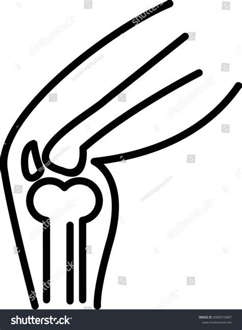 Knee Bone Vector Line Icon Design Stock Vector Royalty Free