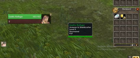 Tooltip Not Showing When Highlighting Bag Items My Tooltip Will Show Anything Other Than Whats