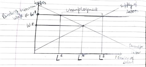 Solved Labour Market Q1 Draw A Binding Minimum Wage Using The