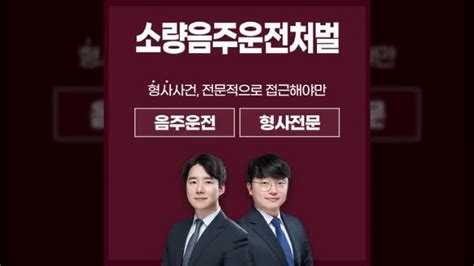 소량음주운전처벌 혈중알코올농도 003 이상 넘으면 처벌됩니다 네이버 블로그