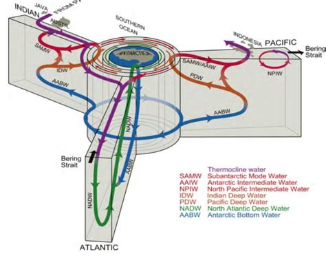 About Us Institute Of Deep Sea Science And Engineeringcas