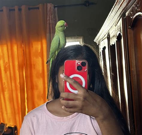 Sandyana Nudsingen On Linkedin Mauritius