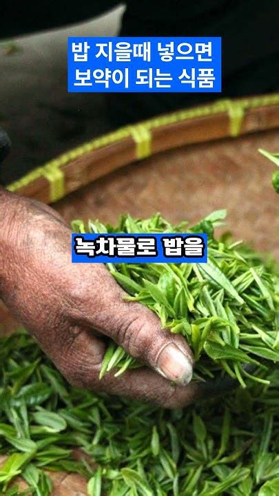 밥 지을 때 넣으면 보약이 되는 식품 마늘 녹차 귀리 Youtube