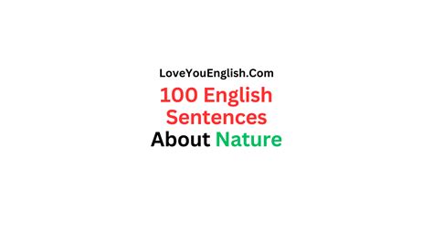 What Are Determiners In English Easy Definition And Examples