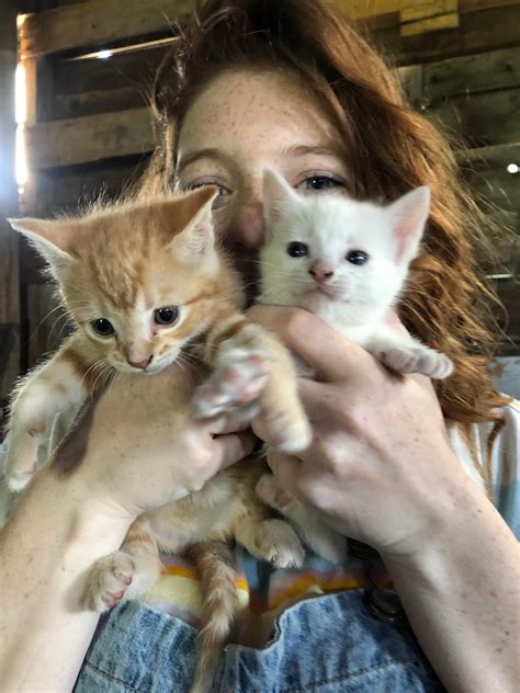 Fresh Kitties Eyebleach