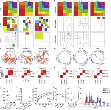 The Colonic Foxp3 Ptreg And Teff Cell Tcra Repertoires Are Dissimilar Download Scientific