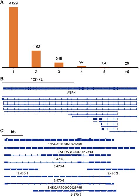 Identified Alternative Polyadenylation Apa Events A Distribution Download Scientific