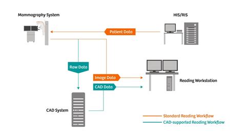 How Cad Can Help Save Time In Mammography Reading Siemens Healthineers