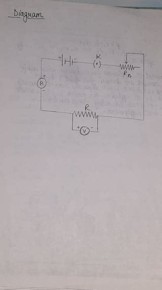 Activity File Class 12 Pdf