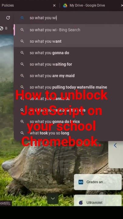 Unblock Javascript School Chromebook Tutorial Javascript Unblocking