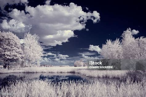 Fotografi Inframerah Foto Ir Lanskap Di Bawah Langit Dengan Awan Foto Stok Unduh Gambar