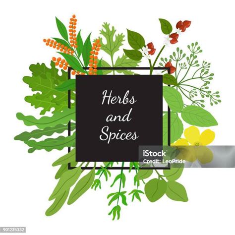 Hebs 향신료arugula 겨자 Matcha 향미료 백 리 향 노아 메 밀 딜 평면 스타일 만화 벡터 벡터에 대한 스톡 벡터 아트 및 기타 이미지 Istock