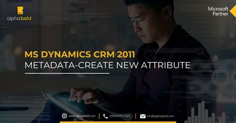 Ms Dynamics Crm 2011 Metadata Create New Attribute