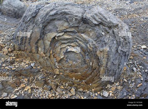 What Kind Of Weathering Is Exfoliation At Ryan Fitzsimons Blog