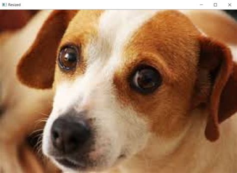 Opencv 教程：python 学习 Opencv 指南 Plato Aistream V21