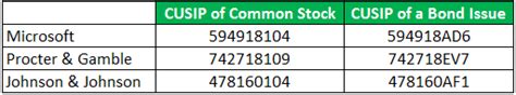 Cusip Number Meaning Example Format Of Cusip Numbers