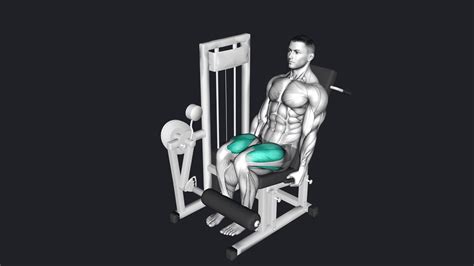 Leg Extension Vs Dumbbell Sumo Squat