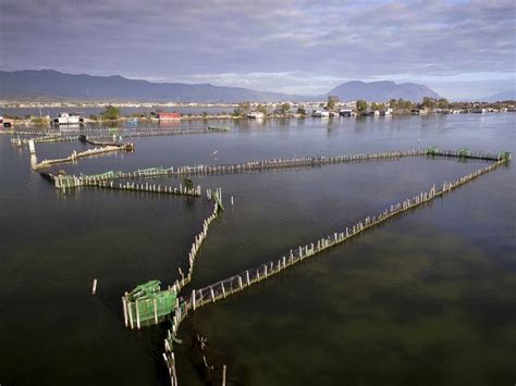 Λιμνοθάλασσα Μεσολoγγίου Λίμνες