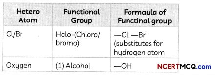Functional Groups Definitions Equations And Examples NCERT MCQ