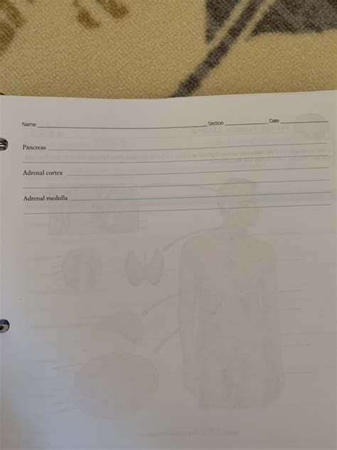 Solved Section Date Name PRE LAB EXERCISES Complete The Chegg Com