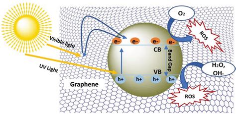 UV And Visible Light Activation Of TiO With Grapheneproducing Download Scientific Diagram