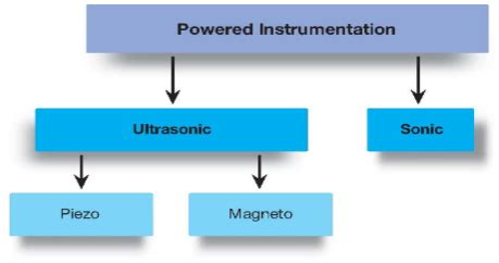Power Scaling Flashcards Quizlet