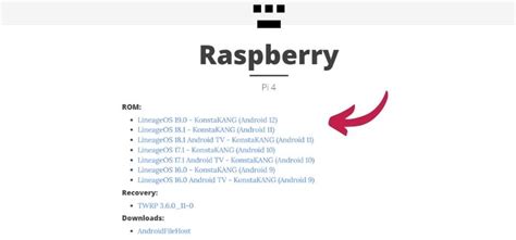 ¿cómo Instalar Android En La Raspberry Pi 4 Play Store Raspberrytips