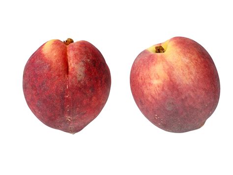 Peaches 12 Models Flippednormals