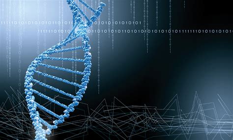 Dr Josh Rubin Understanding Sex Differences In Cancer Promises Better Treatment And Survival