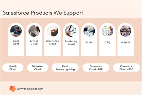 Melonleaf Services Offered