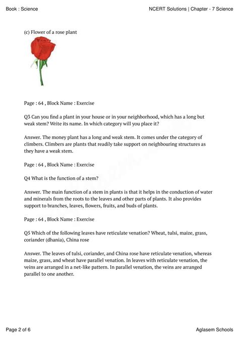 NCERT Solutions 2025 Class 6 Science Chapter 4 Getting To Know Plants Question Answer PDF
