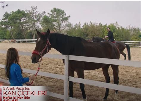 Kan Çiçekleri Nerede Çekiliyor Mekanları Çekim Yerleri